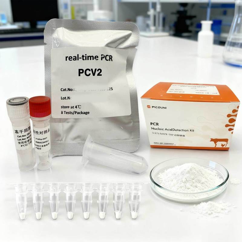 Porcine Circovirus PCR Amplification Kit Type 2 PCV2 Detection Kit ...