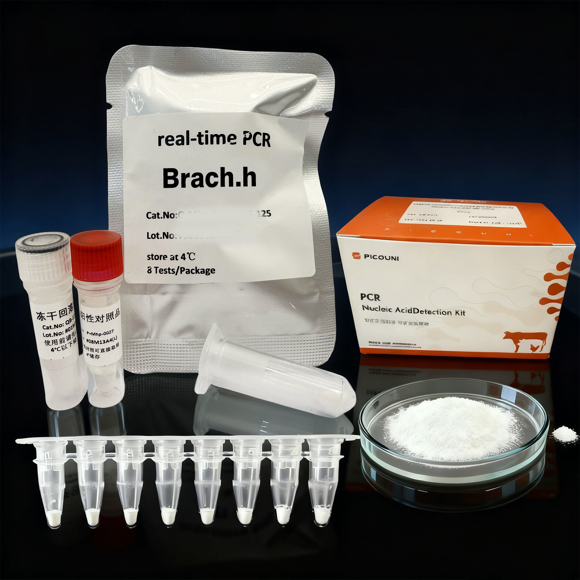 ODM Positive Control Nucleic Acid PCR QPCR Kit For Brachyspira ...